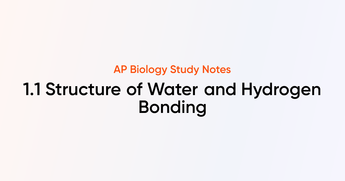 1.1 Structure of Water and Hydrogen Bonding | AP Biology Notes | TutorChase