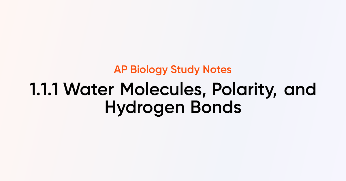 Water Molecules, Polarity, and Hydrogen Bonds (1.1.1) | AP Biology ...