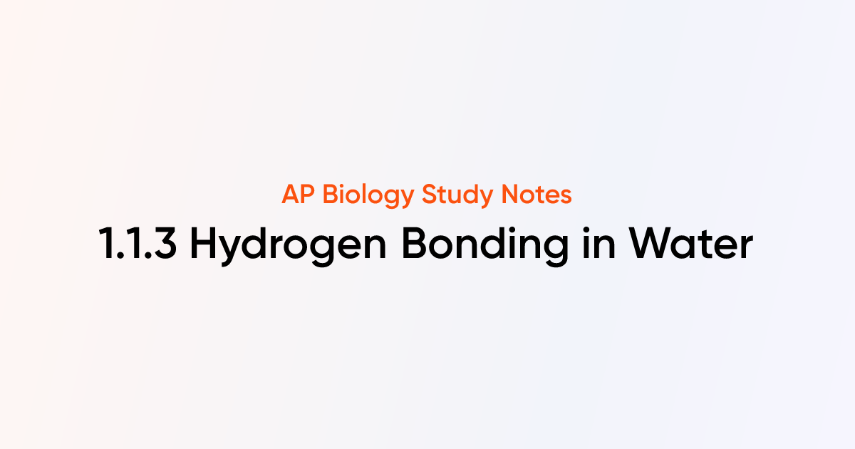Hydrogen Bonding in Water (1.1.3) | AP Biology Notes | TutorChase