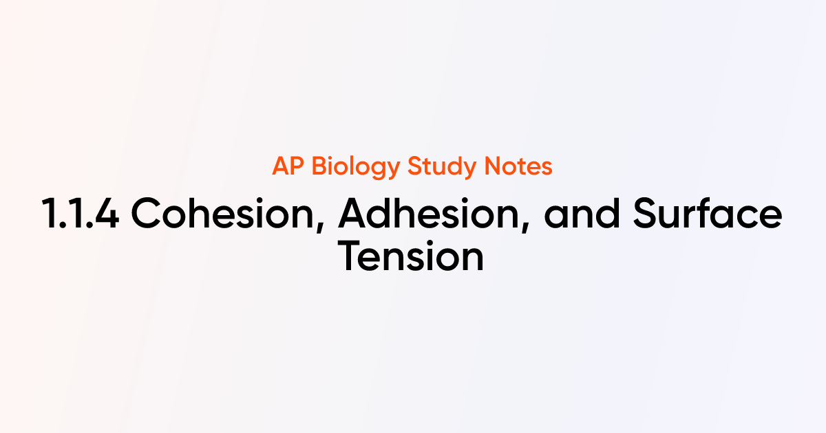 Cohesion, Adhesion, and Surface Tension (1.1.4) | AP Biology Notes ...