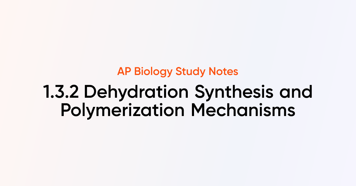Dehydration Synthesis and Polymerization Mechanisms (1.3.2) | AP ...