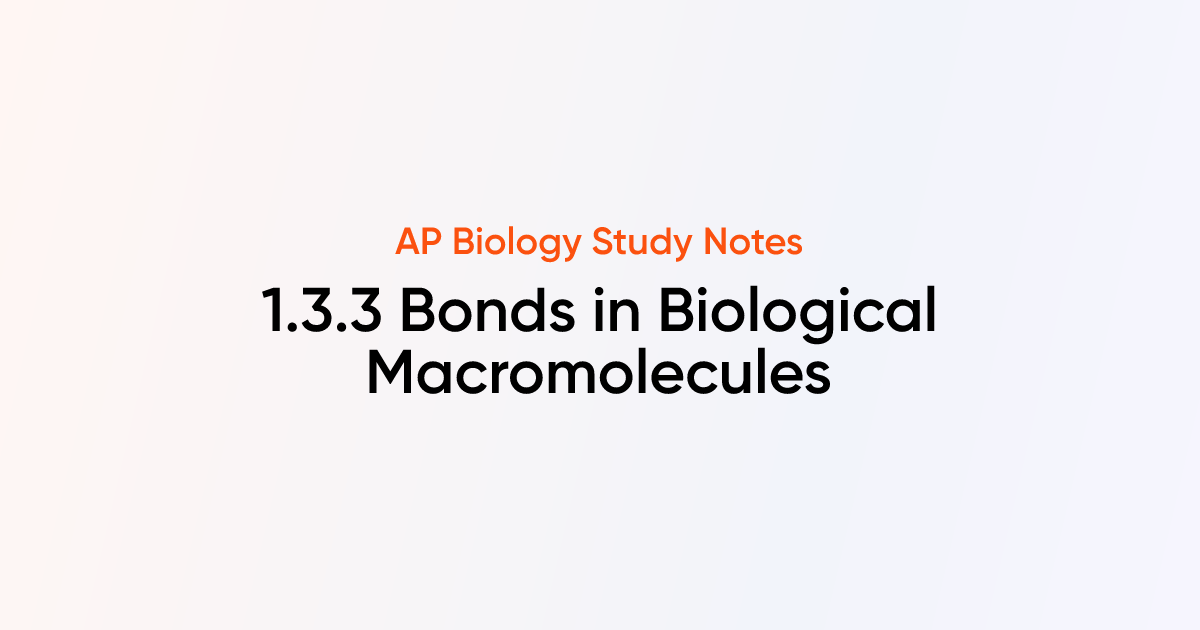 Bonds in Biological Macromolecules (1.3.3) | AP Biology Notes | TutorChase