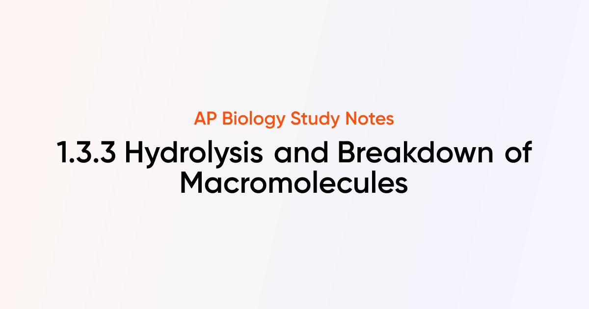 Hydrolysis and Breakdown of Macromolecules (1.3.3) | AP Biology Notes ...