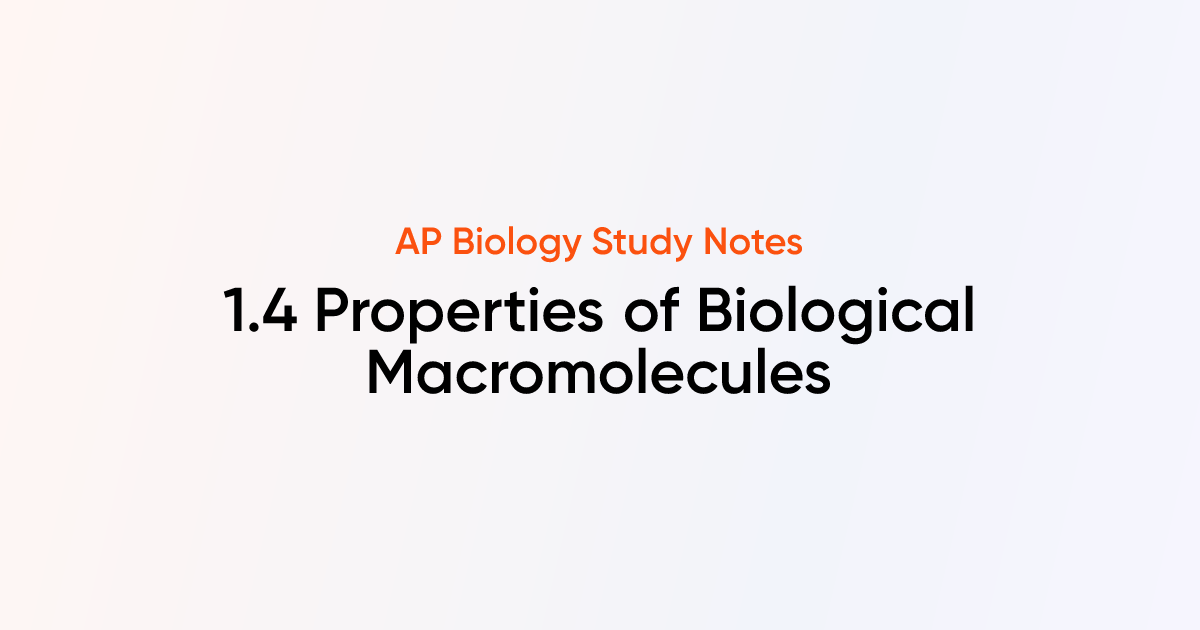 1.4 Properties of Biological Macromolecules | AP Biology Notes | TutorChase