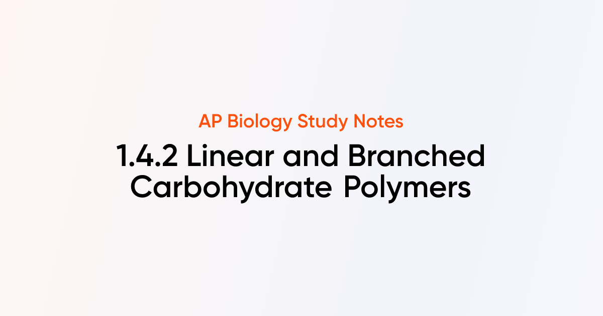 Linear and Branched Carbohydrate Polymers (1.4.2) | AP Biology Notes ...