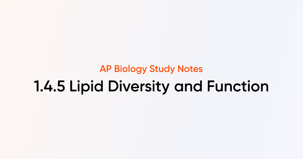 Lipid Diversity and Function (1.4.5) | AP Biology Notes | TutorChase