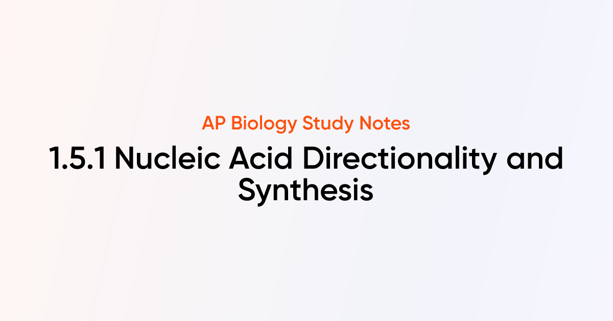 Nucleic Acid Directionality and Synthesis (1.5.1) | AP Biology Notes ...
