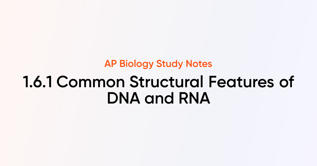 Common Structural Features of DNA and RNA (1.6.1) | AP Biology Notes ...