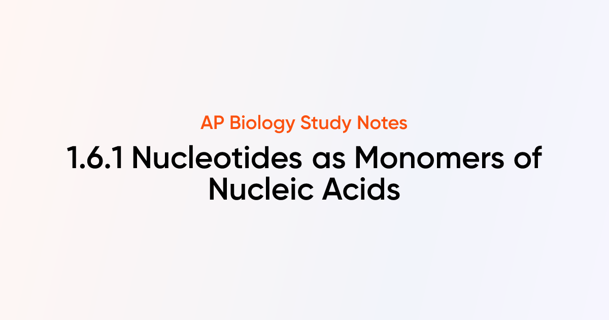 Nucleotides as Monomers of Nucleic Acids (1.6.1) | AP Biology Notes ...