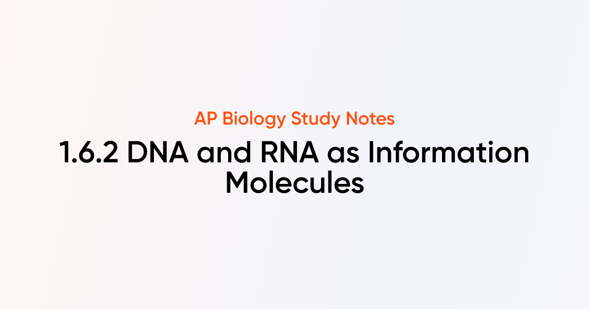 DNA and RNA as Information Molecules (1.6.2) | AP Biology Notes ...