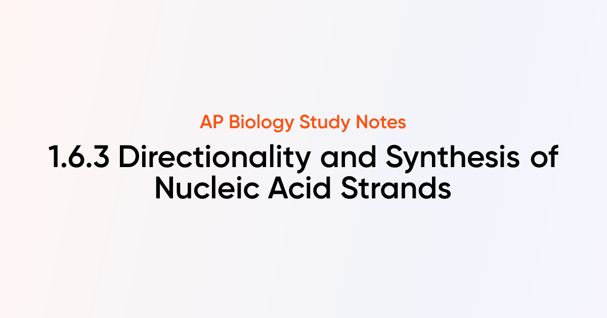 Directionality and Synthesis of Nucleic Acid Strands (1.6.3) | AP ...