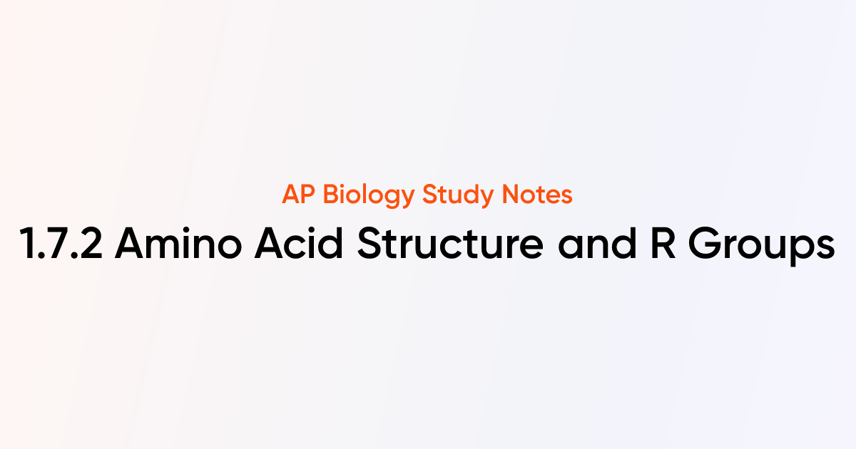 Amino Acid Structure and R Groups (1.7.2) | AP Biology Notes | TutorChase