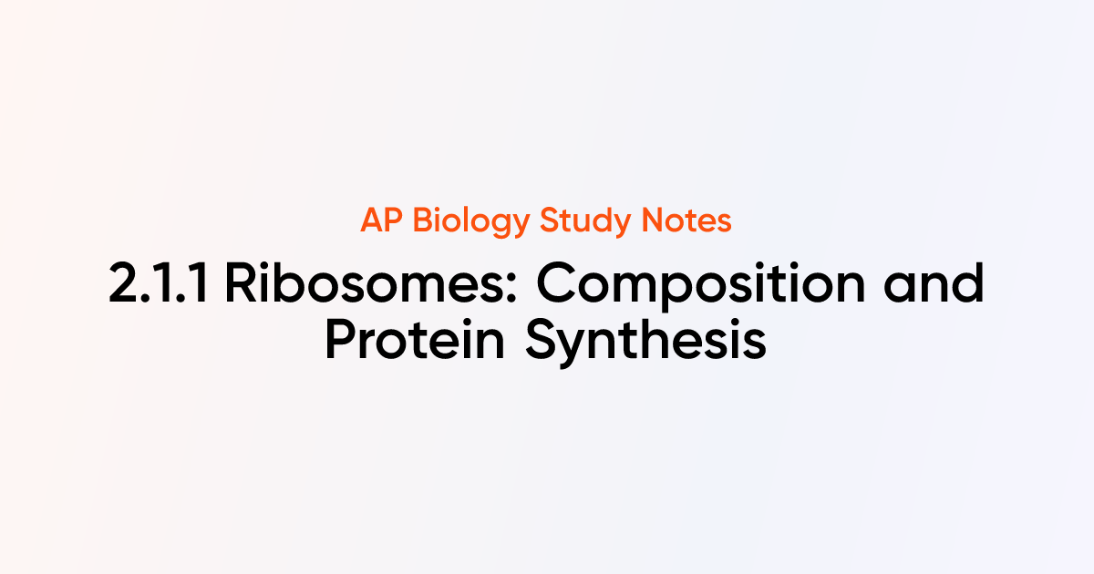 Ribosomes: Composition and Protein Synthesis (2.1.1) | AP Biology Notes ...