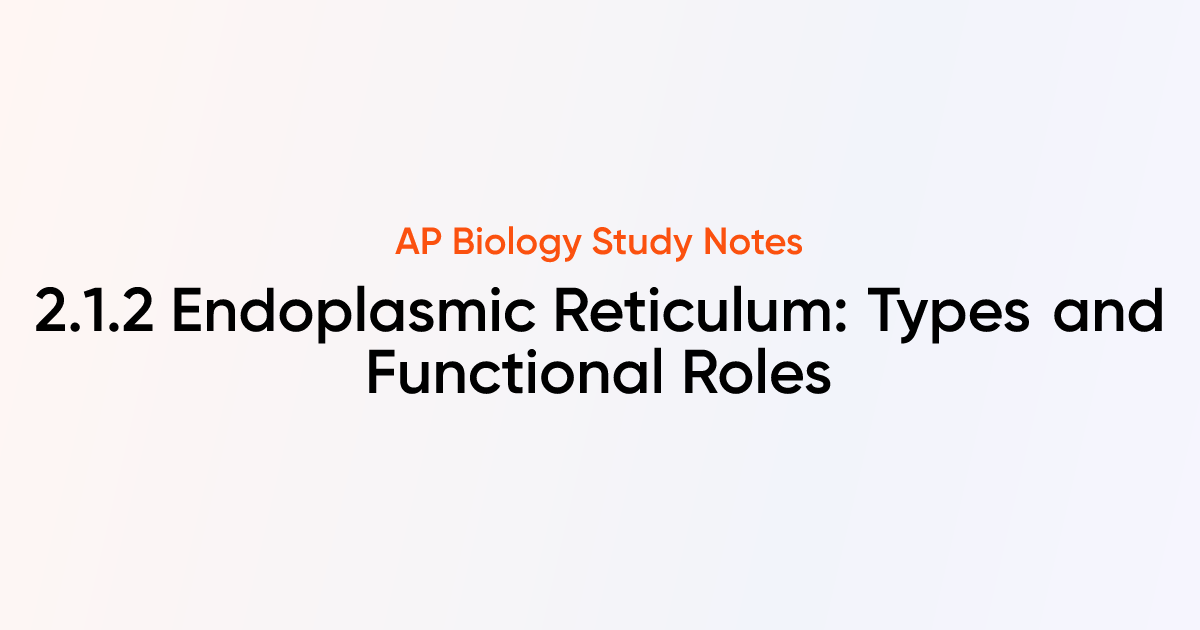 Endoplasmic Reticulum: Types and Functional Roles (2.1.2) | AP Biology ...