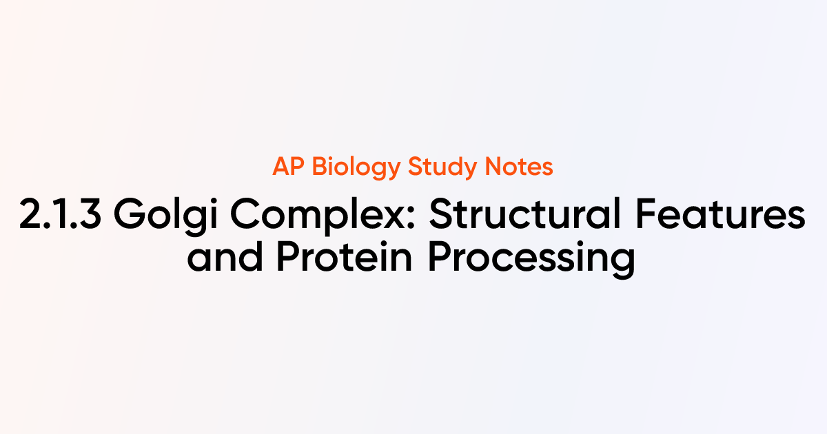 Golgi Complex: Structural Features and Protein Processing (2.1.3) | AP ...