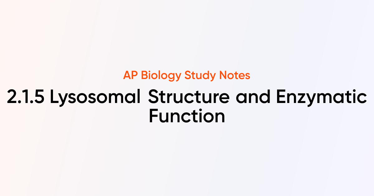 Lysosomal Structure and Enzymatic Function (2.1.5) | AP Biology Notes ...