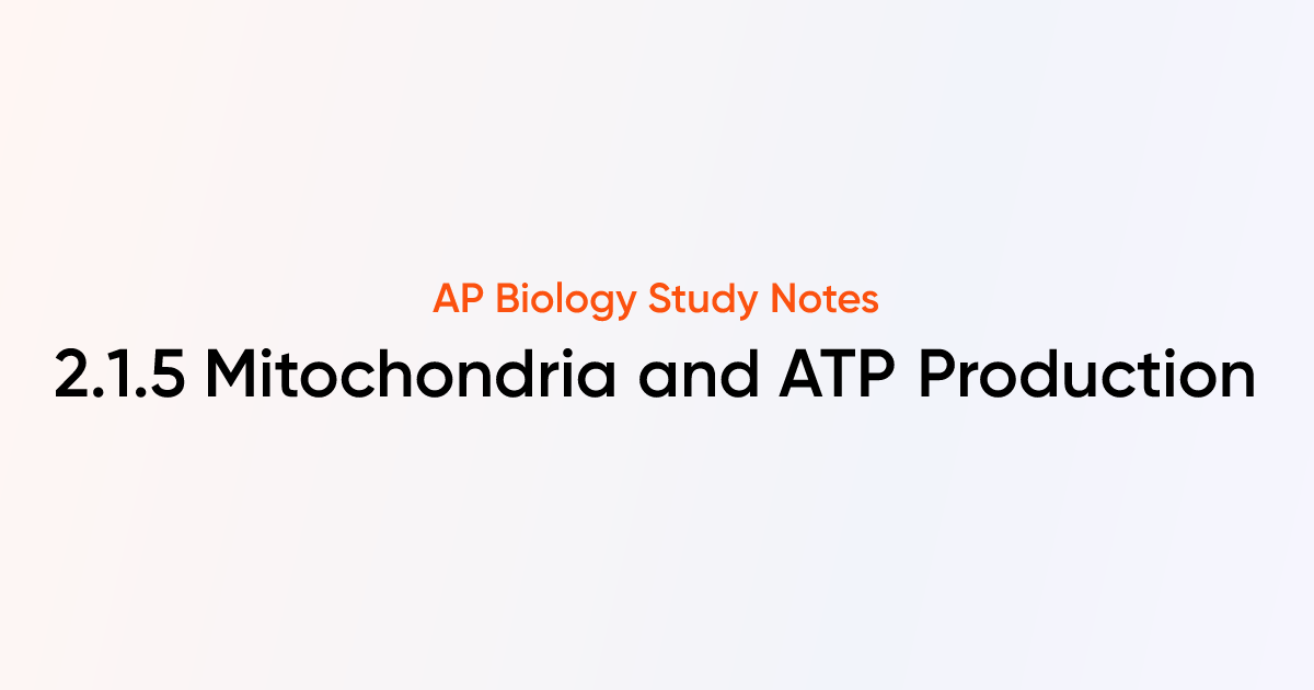 Mitochondria and ATP Production (2.1.5) | AP Biology Notes | TutorChase