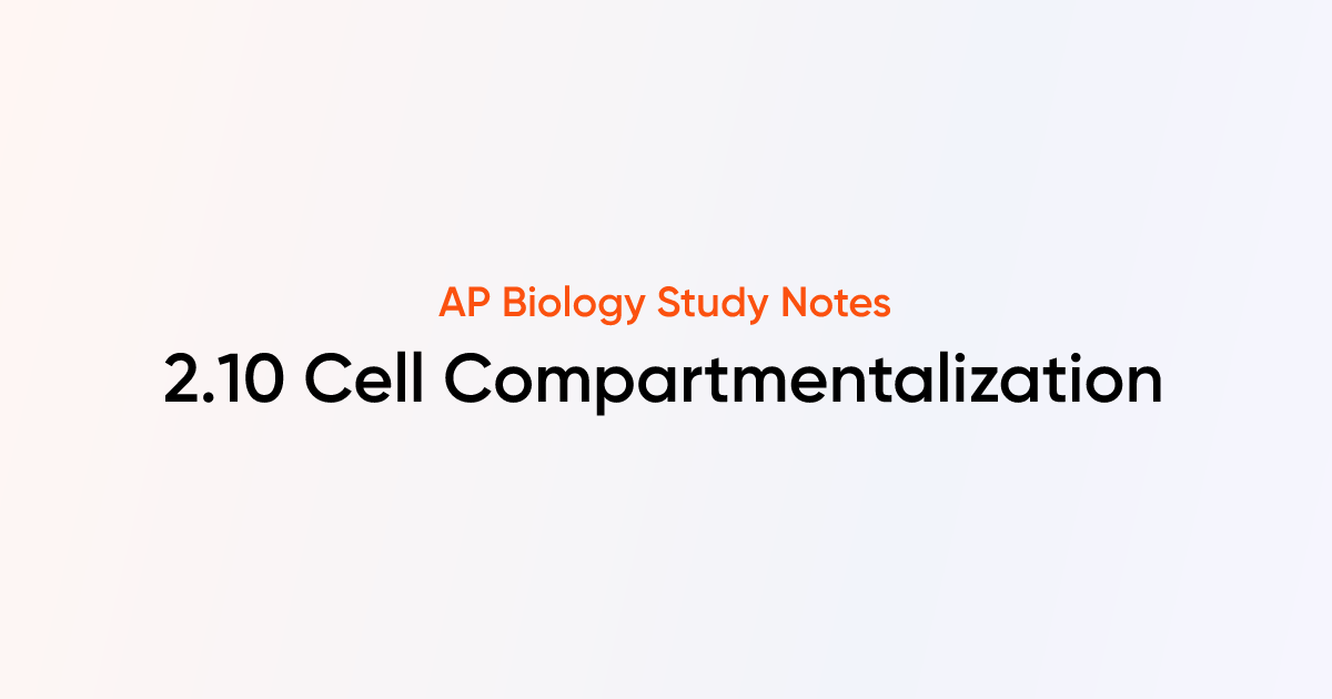 2.10 Cell Compartmentalization | AP Biology Notes | TutorChase