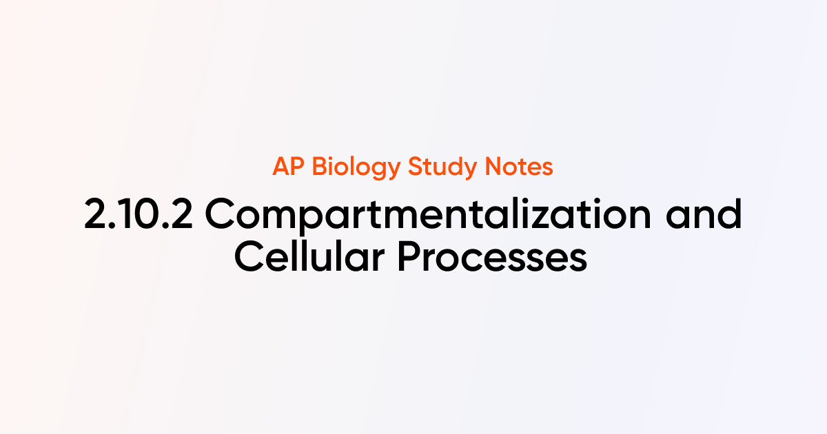 Compartmentalization and Cellular Processes (2.10.2) | AP Biology Notes ...