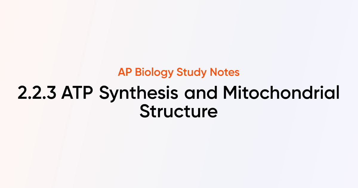 ATP Synthesis and Mitochondrial Structure (2.2.3) | AP Biology Notes ...