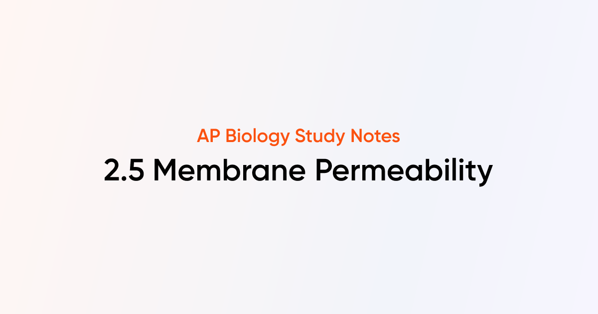 2.5 Membrane Permeability | AP Biology Notes | TutorChase