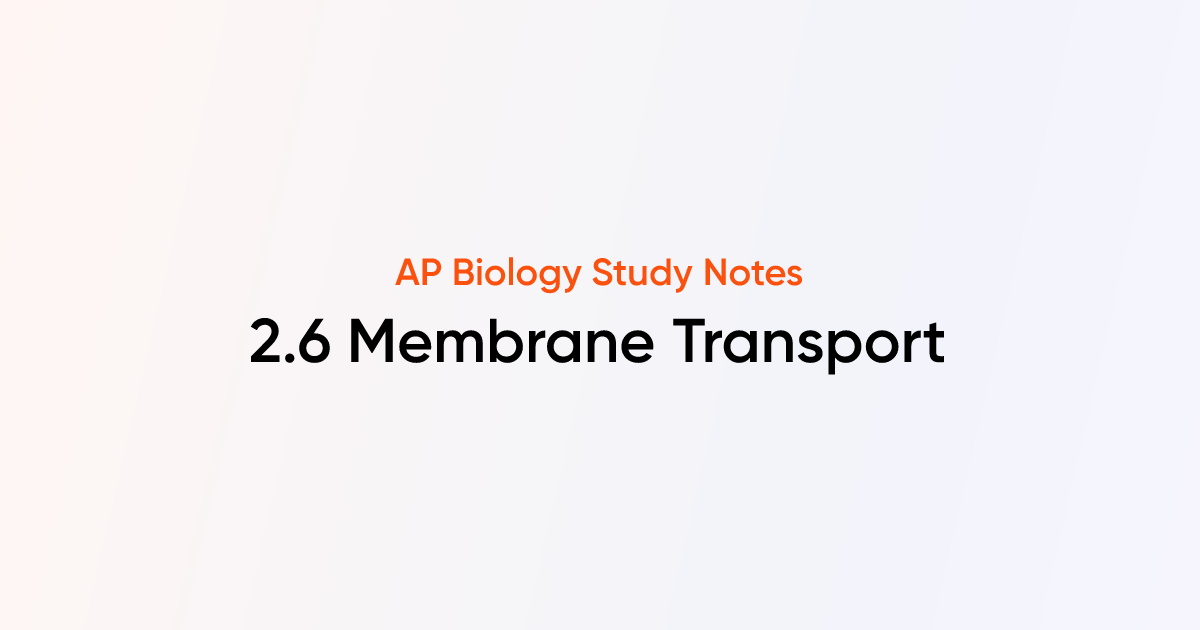 2.6 Membrane Transport | AP Biology Notes | TutorChase