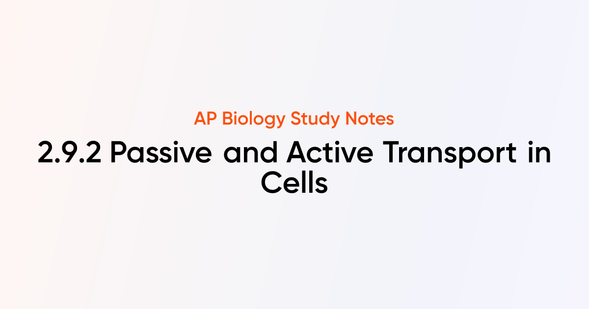 Passive and Active Transport in Cells (2.9.2) | AP Biology Notes ...