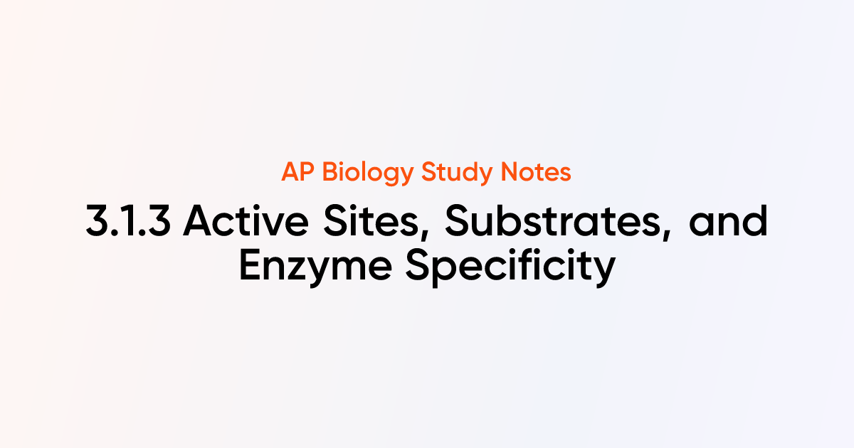 Active Sites, Substrates, and Enzyme Specificity (3.1.3) | AP Biology ...