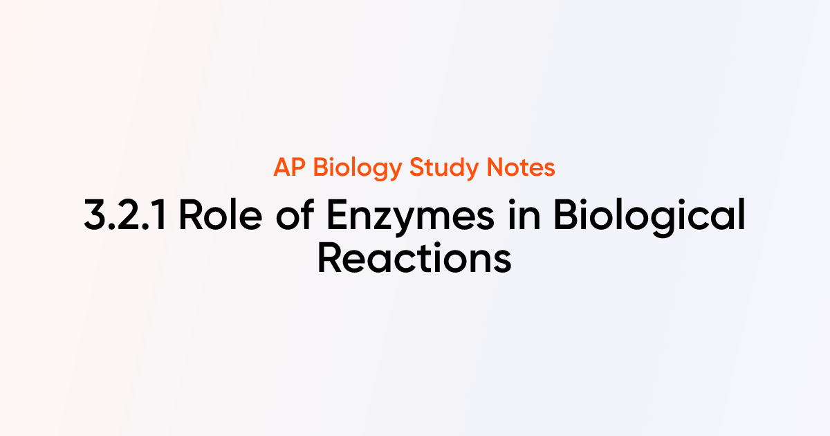 Role of Enzymes in Biological Reactions (3.2.1) | AP Biology Notes ...