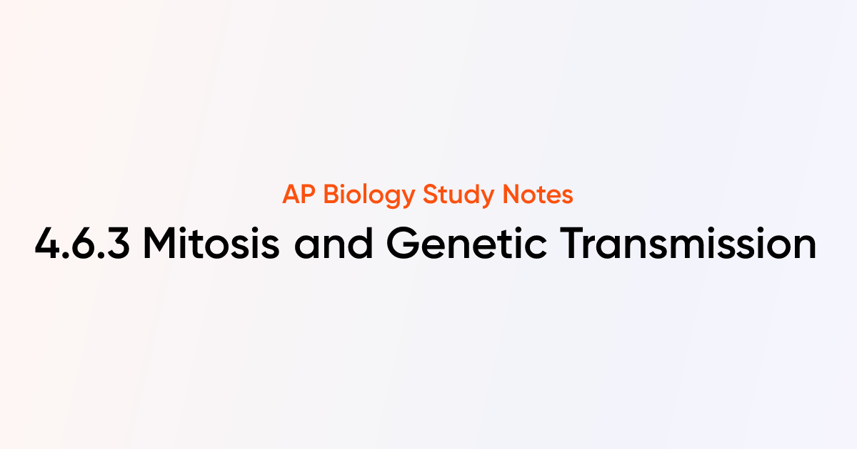 Mitosis and Genetic Transmission (4.6.3) | AP Biology Notes | TutorChase