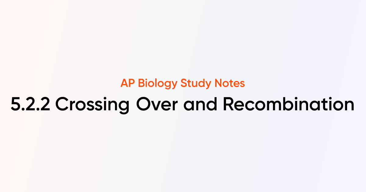 Crossing Over and Recombination (5.2.2) | AP Biology Notes | TutorChase