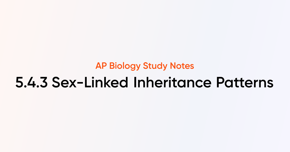 Sex-Linked Inheritance Patterns (5.4.3) | AP Biology Notes | TutorChase