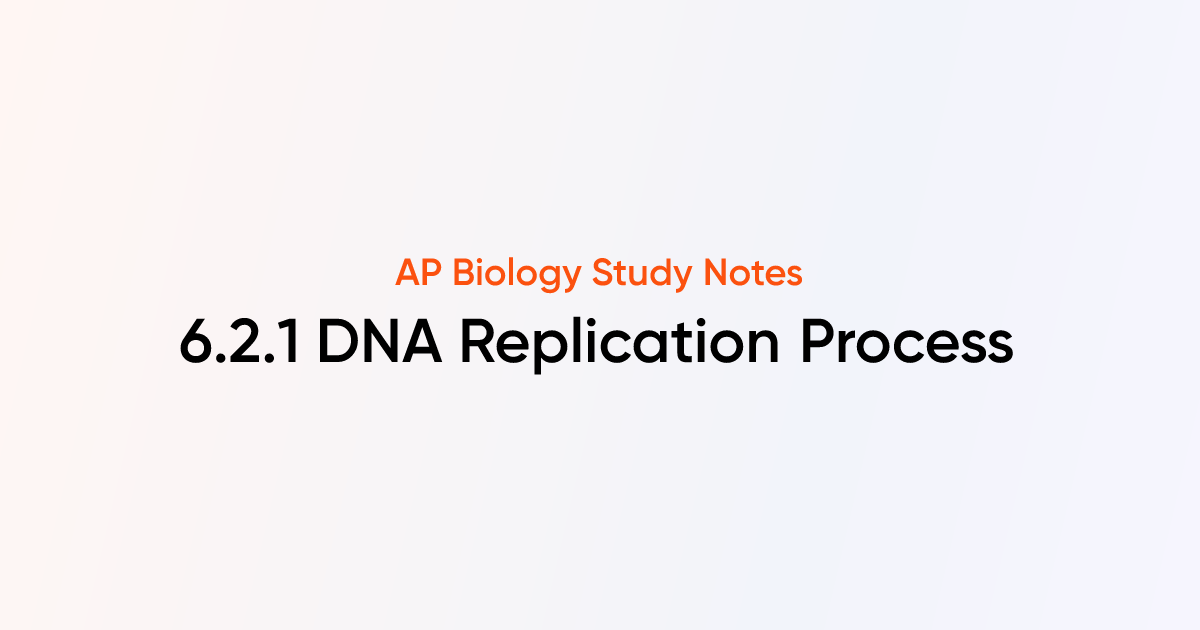 DNA Replication Process (6.2.1) | AP Biology Notes | TutorChase