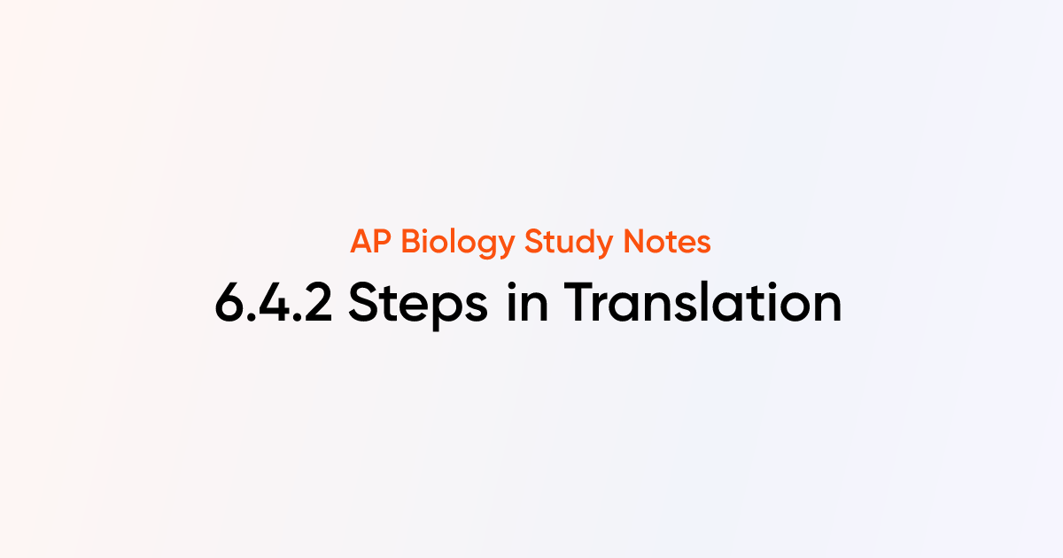 Steps in Translation (6.4.2) | AP Biology Notes | TutorChase