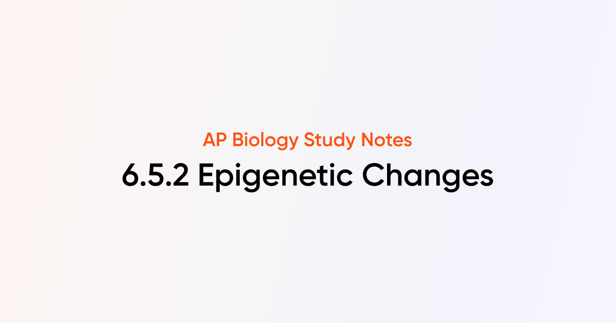 Epigenetic Changes (6.5.2) | AP Biology Notes | TutorChase