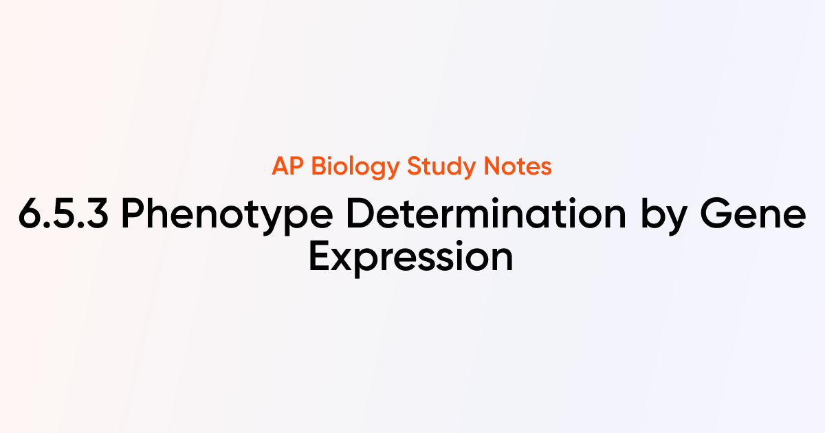 Phenotype Determination by Gene Expression (6.5.3) | AP Biology Notes ...