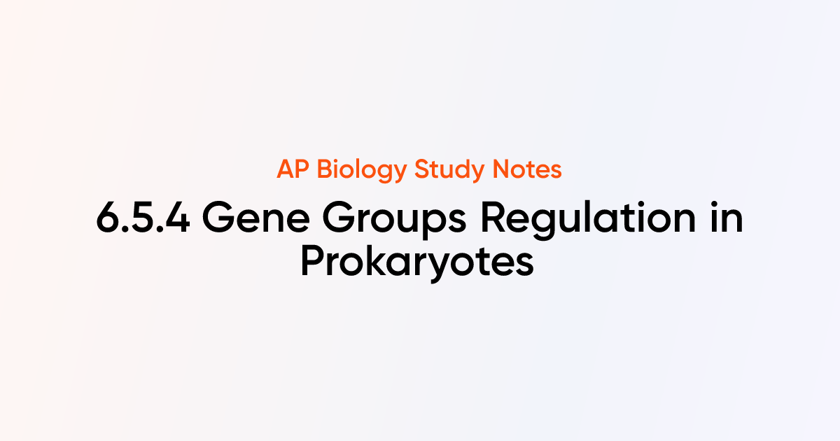 Gene Groups Regulation in Prokaryotes (6.5.4) | AP Biology Notes ...