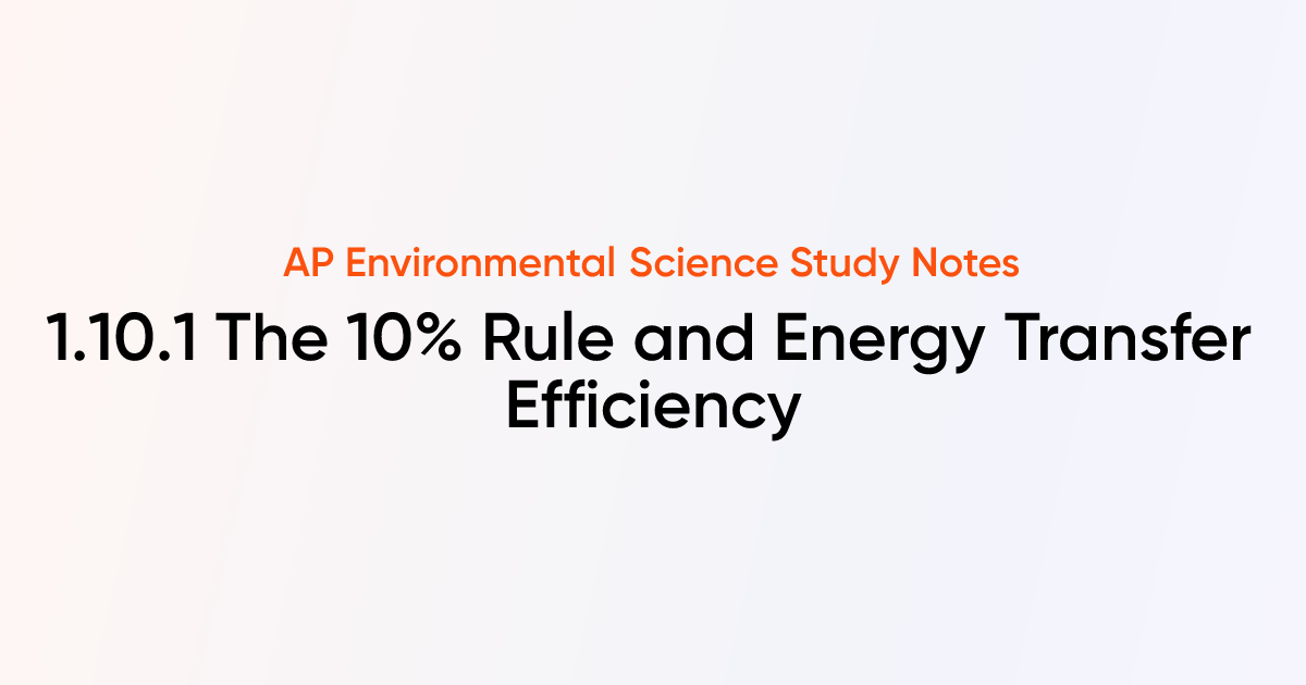 The 10% Rule and Energy Transfer Efficiency (1.10.1) | AP Environmental ...