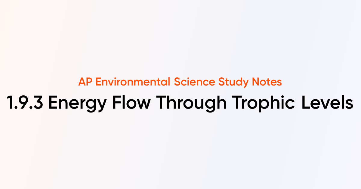 Energy Flow Through Trophic Levels (1.9.3) | AP Environmental Science ...