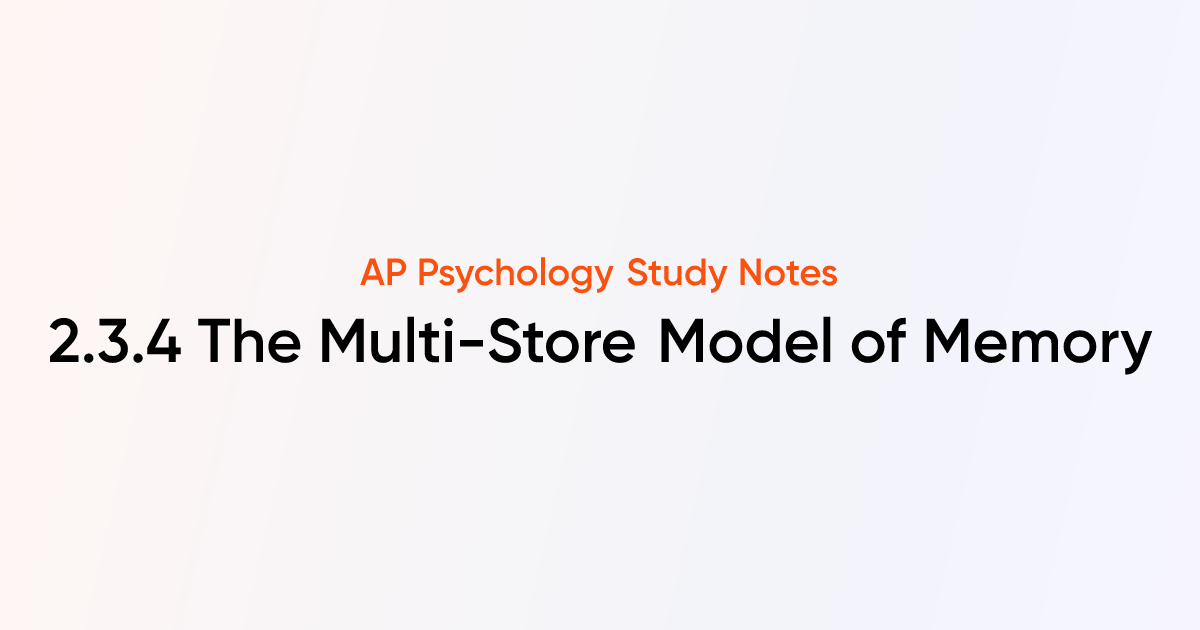 The Multi-Store Model of Memory (2.3.4) | AP Psychology Notes | TutorChase