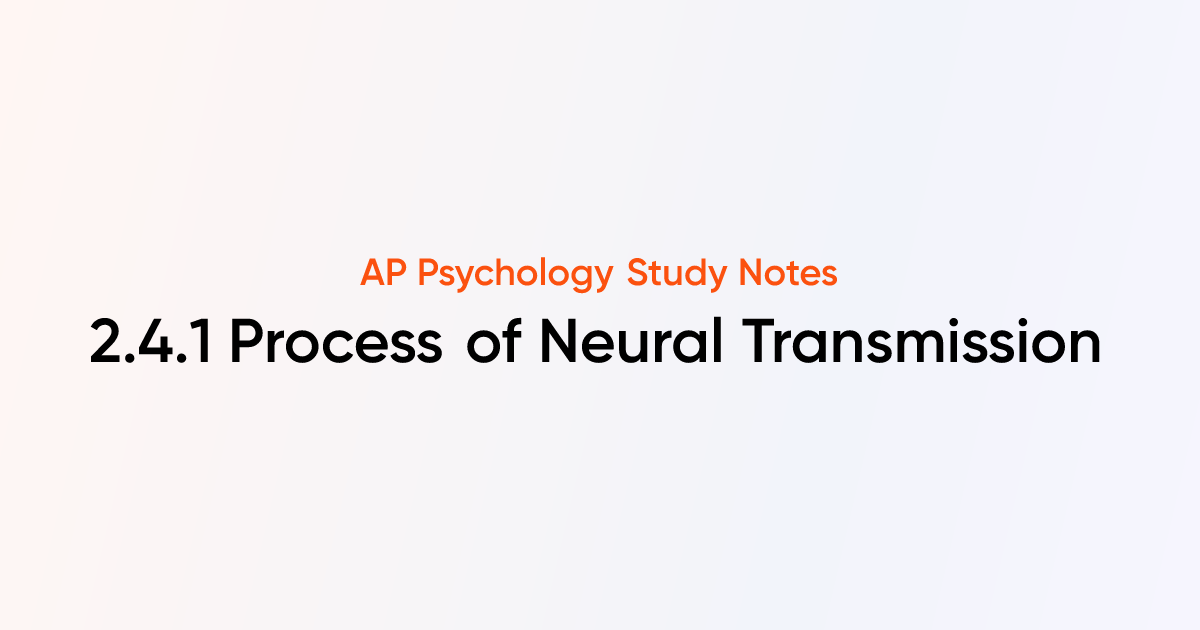 2.4.1 Process of Neural Transmission | AP Psychology Notes | TutorChase