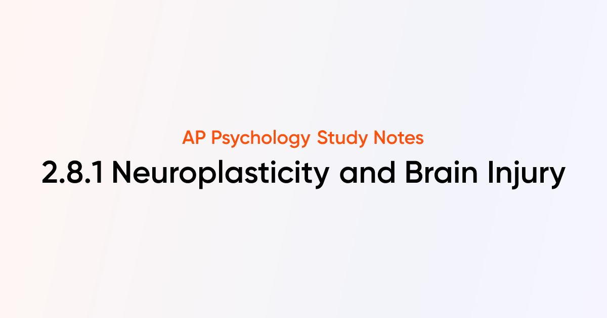 2.8.1 Neuroplasticity and Brain Injury | AP Psychology Notes | TutorChase