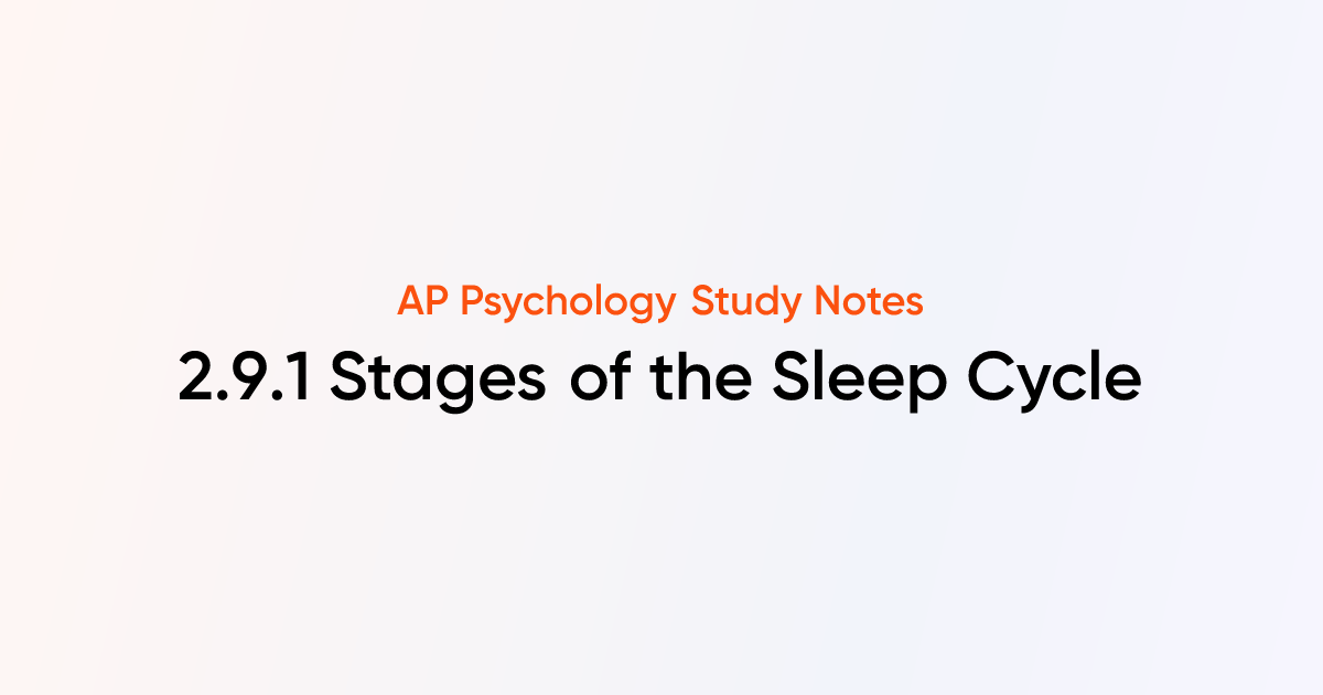 2.9.1 Stages of the Sleep Cycle | AP Psychology Notes | TutorChase