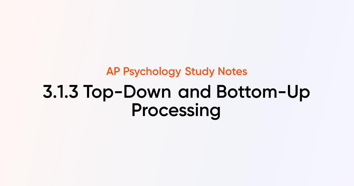 3 1 3 Top Down And Bottom Up Processing Ap Psychology Notes Tutorchase
