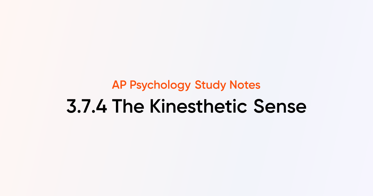 3.7.4 The Kinesthetic Sense | AP Psychology Notes | TutorChase