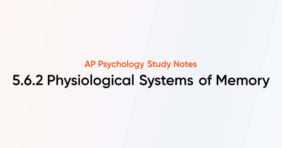 5.6.2 Physiological Systems of Memory | AP Psychology Notes | TutorChase