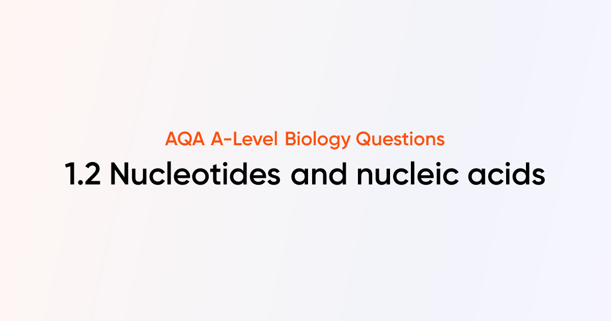 1.2 Nucleotides and nucleic acids - AQA A-Level Biology Questions