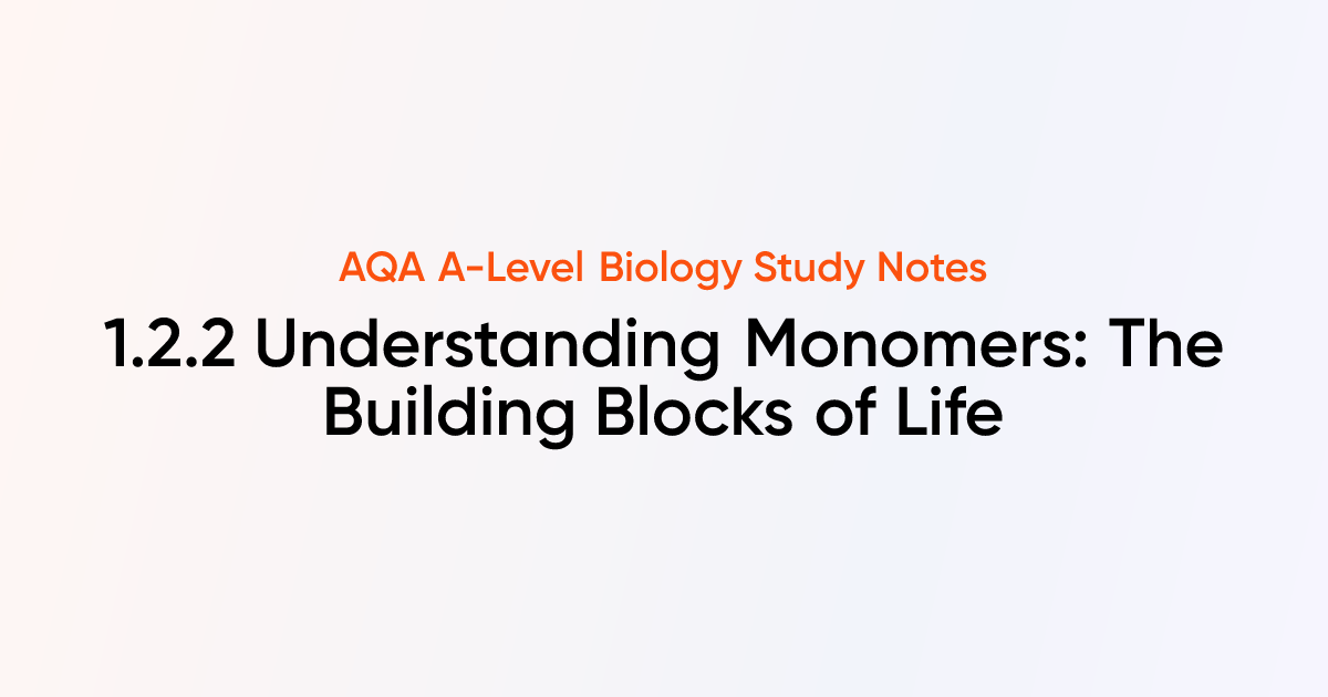 Understanding Monomers: The Building Blocks of Life (1.2.2) | AQA A ...
