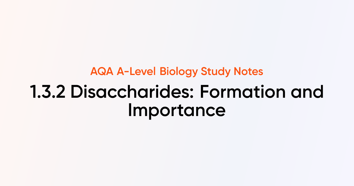 Disaccharides: Formation and Importance (1.3.2) | AQA A-Level Biology ...