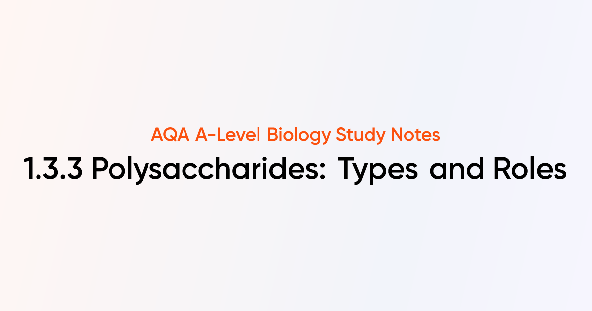 Polysaccharides: Types and Roles (1.3.3) | AQA A-Level Biology Notes ...